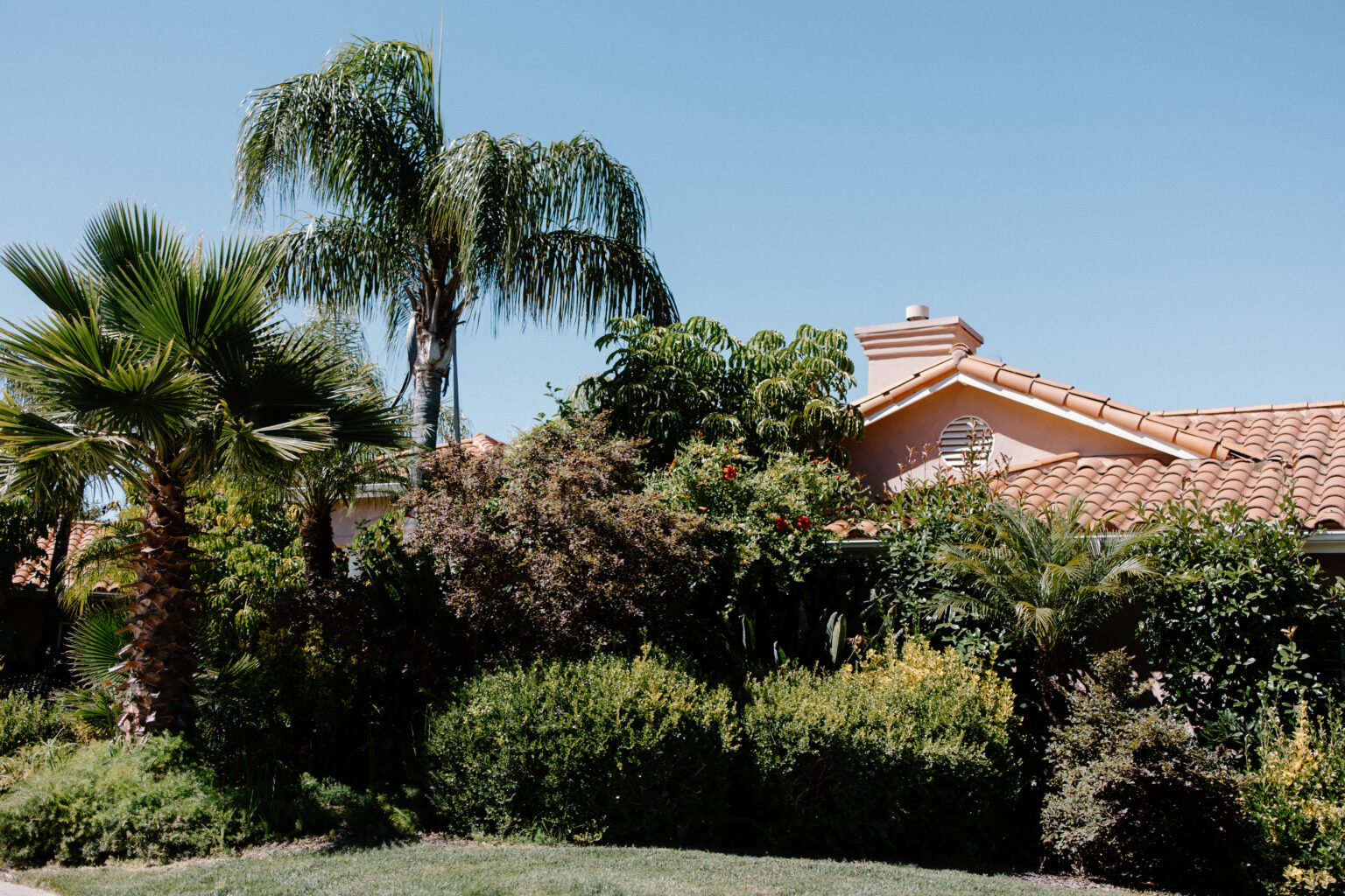 Caylee and Steven's California Microwedding - photos-by-mich.com